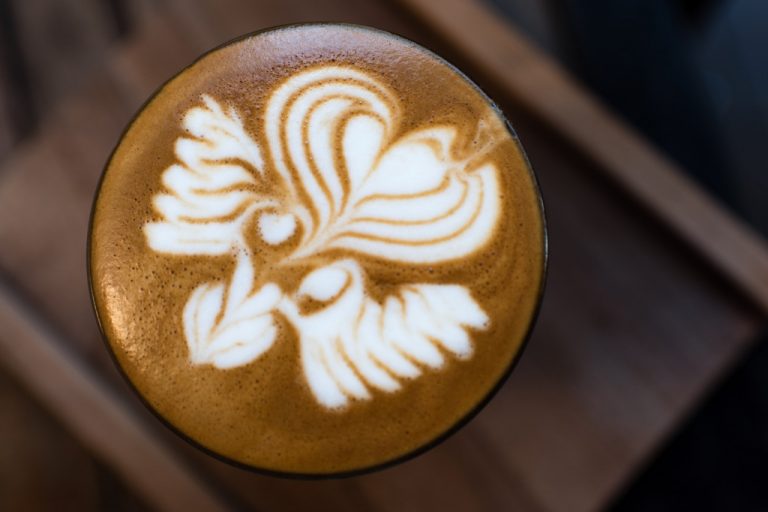 How to make latte art: swans and other animals :: Green Plantation