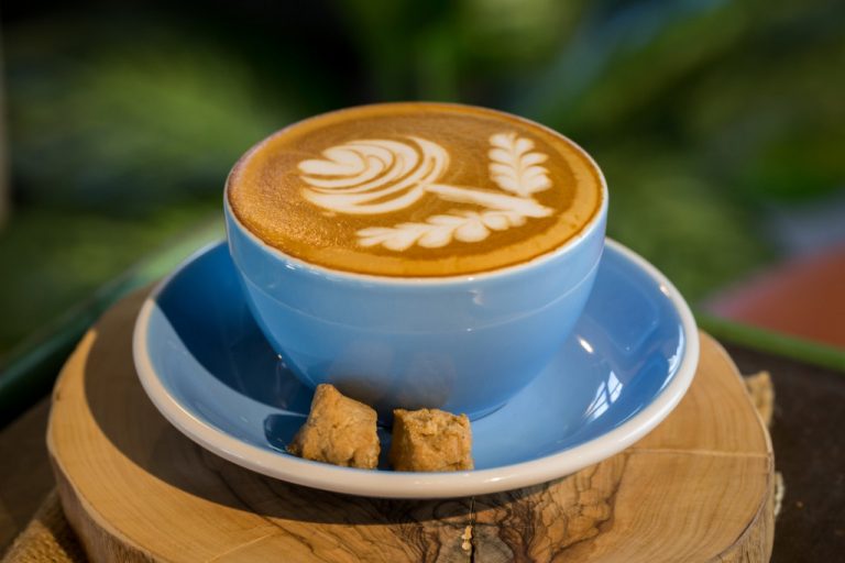 How to make latte art: swans and other animals :: Green Plantation