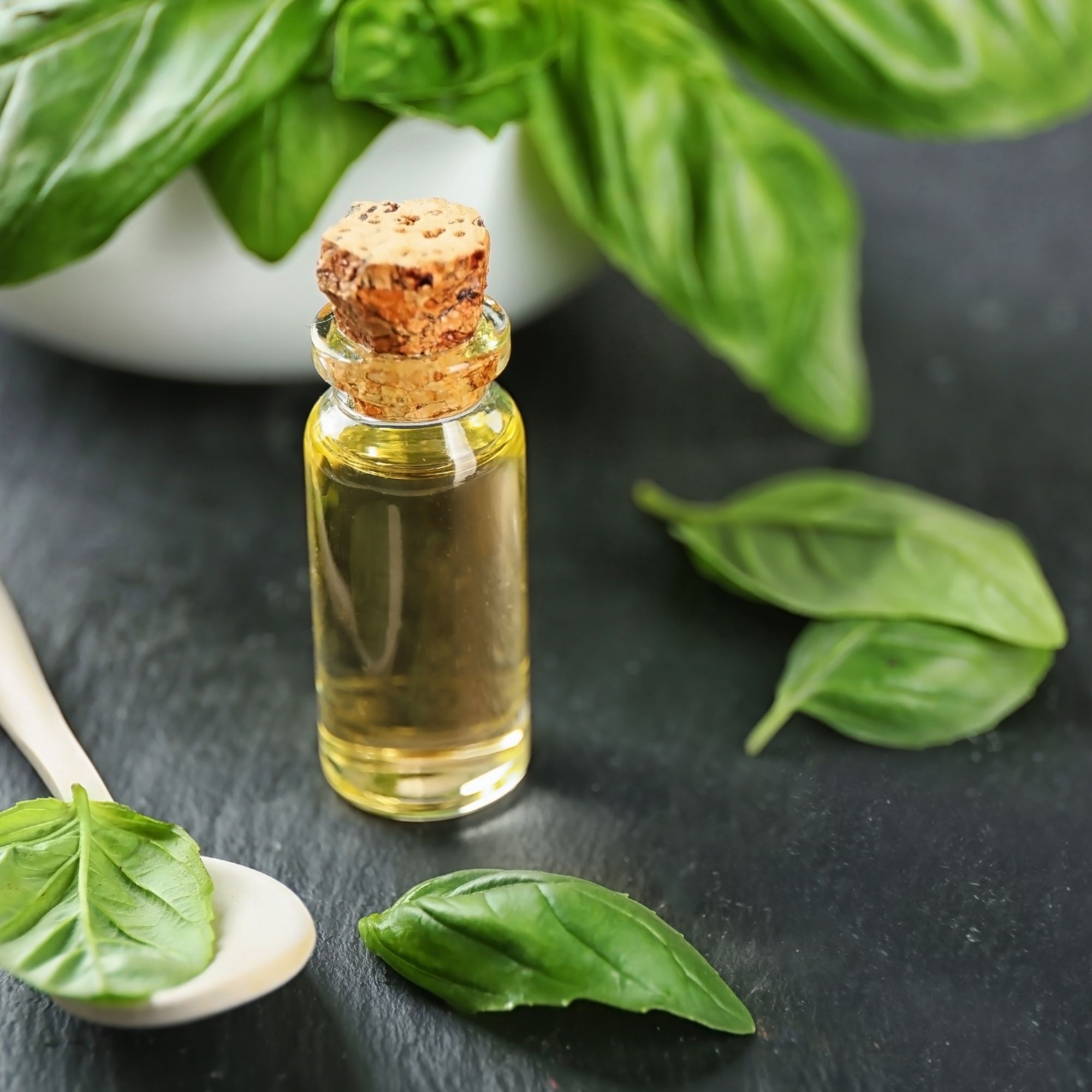 BIO Basil – essential oil for aromatherapy